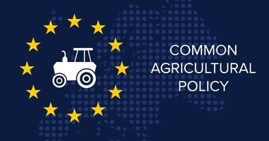 Common Agricultural Policy (CAP) - Open Class