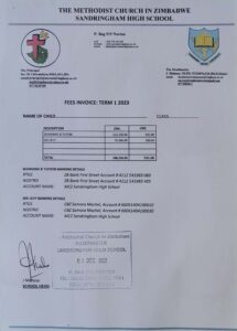 Sandringham High School