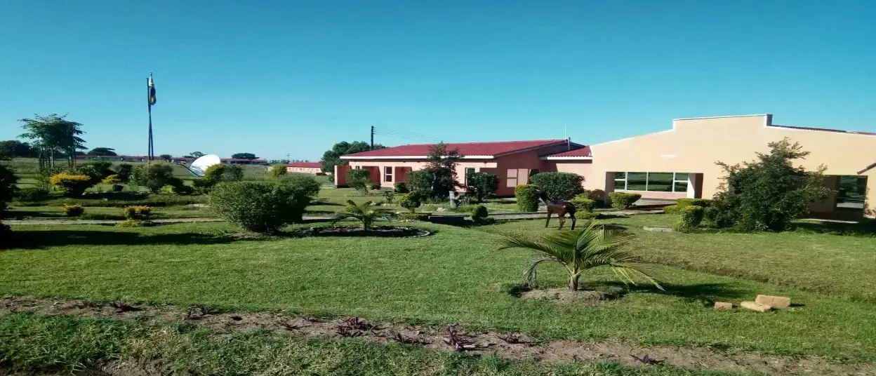 Grasslands High School Profile & Reviews🏫 (Updated 2025)